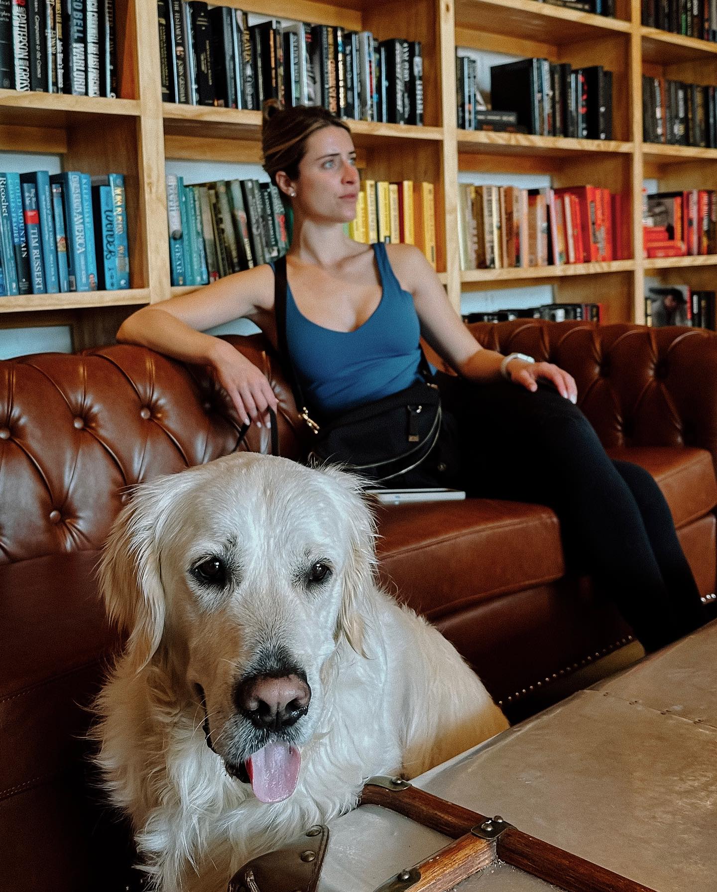 Ashlyn Sullivan Husband, Past Affairs, Net Worth, Family, and Bio ...